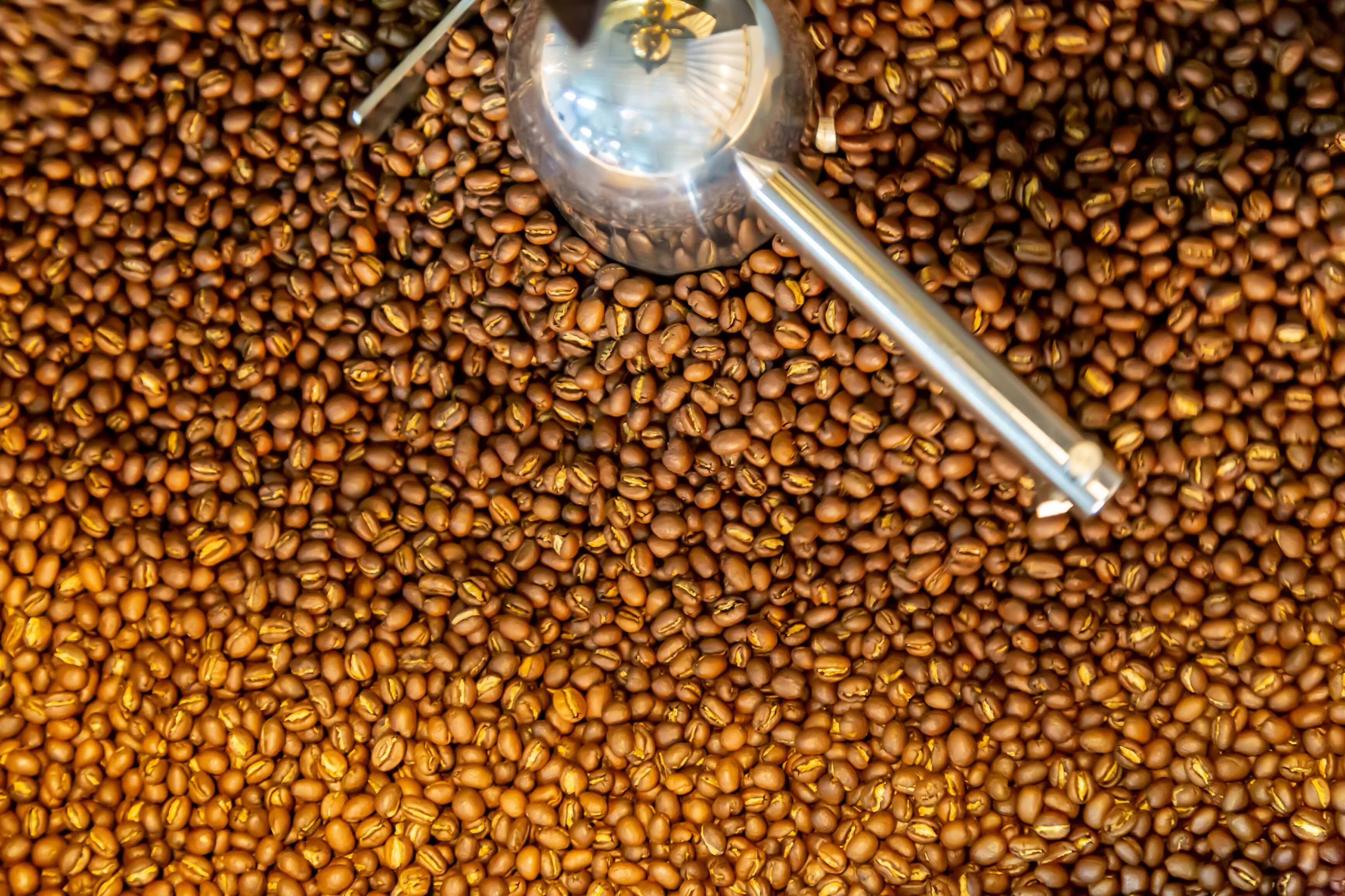 Home page – Grey Soul™ Coffee Roasters